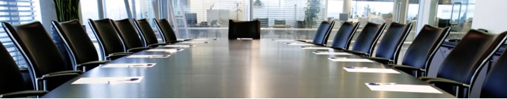 Executive Board - MBM CONSEIL